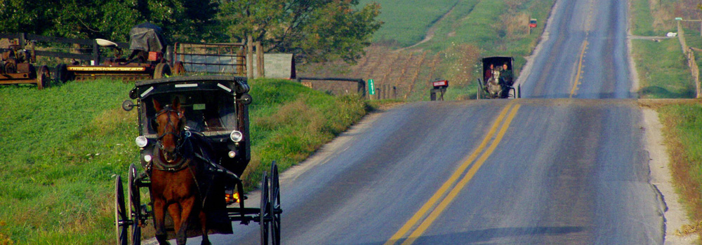 Amish Country, Philadelphia & Washington D.C. | California Tours